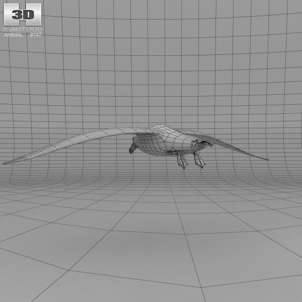 Petrel Gigante del Sur Low Poly Modelo 3D - Descargar Aves on 3DModels.org