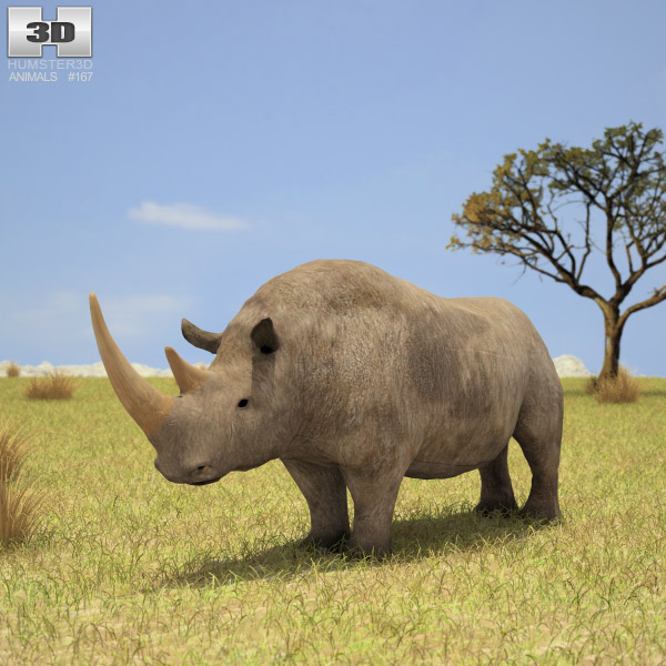 Woolly Rhinoceros Low Poly 3D model - Download Mammals on 3DModels.org