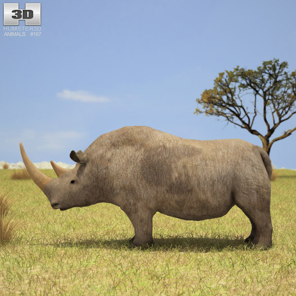 Woolly Rhinoceros Low Poly 3D model - Download Mammals on 3DModels.org
