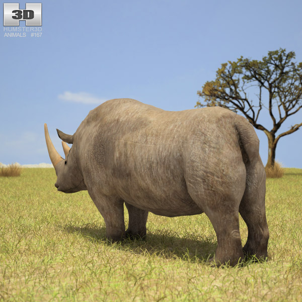 Woolly Rhinoceros Low Poly 3D model - Download Mammals on 3DModels.org