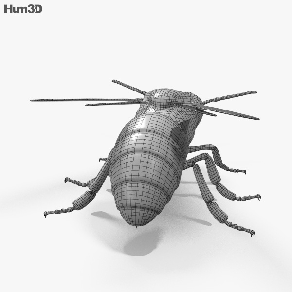Honey Bee 3D model - Download Insects on 3DModels.org