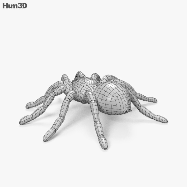 Tarantula 3D model - Download Arthropod on 3DModels.org