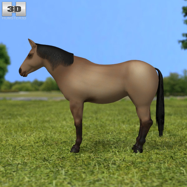 American Quarter Horse Low Poly 3D model - Download Mammals on 3DModels.org