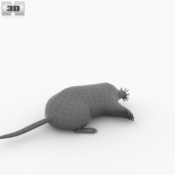 Star-Nosed Mole Low Poly 3D model - Download Mammals on 3DModels.org
