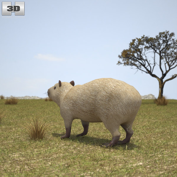 Capybara Low Poly Modelo 3D - Descargar Mammalia activado 3DModels.org