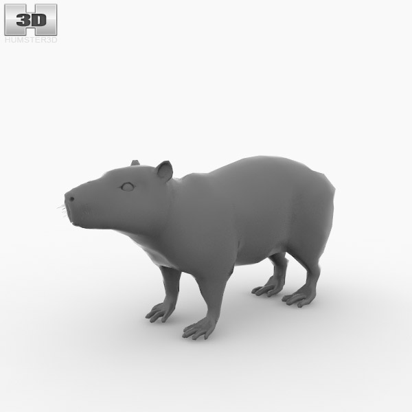 Capybara Low Poly 3D model - Download Mammals on 3DModels.org