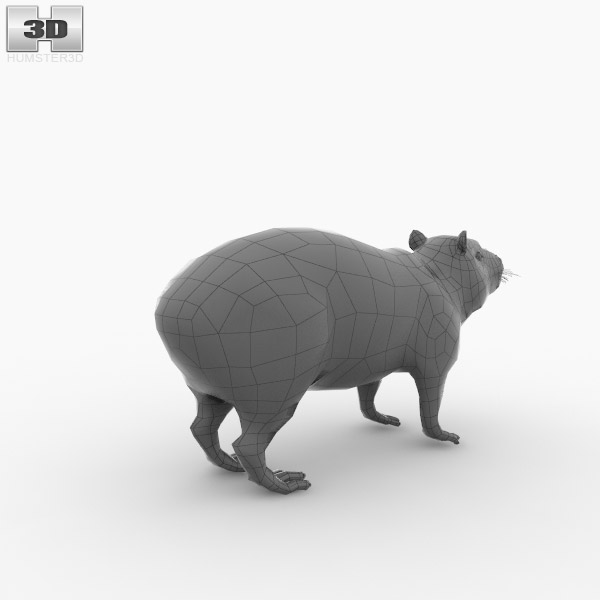 Capybara Low Poly Modelo 3D - Descargar Mammalia activado 3DModels.org