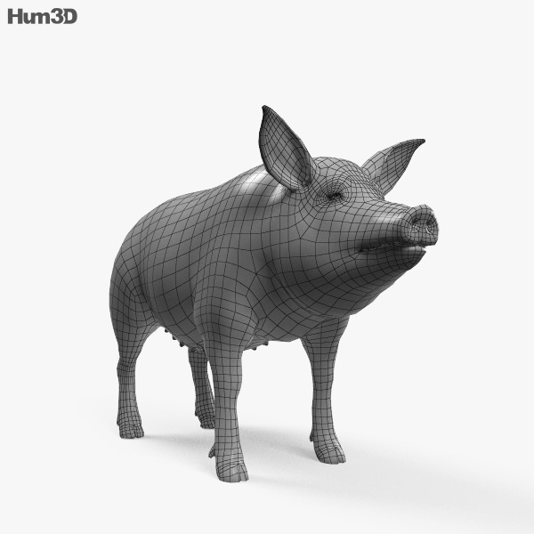 Animated Pig 3D model - Download Mammals on 3DModels.org