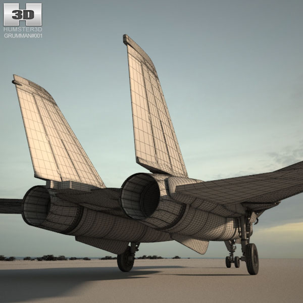 Grumman F-14 Tomcat 3D model - Download Fighter on 3DModels.org