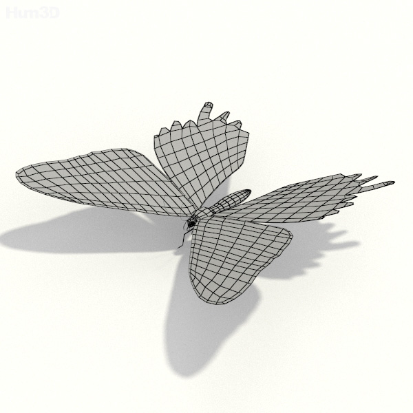 Madagascan Sunset Moth Low Poly 3D model - Download Insects on 3DModels.org