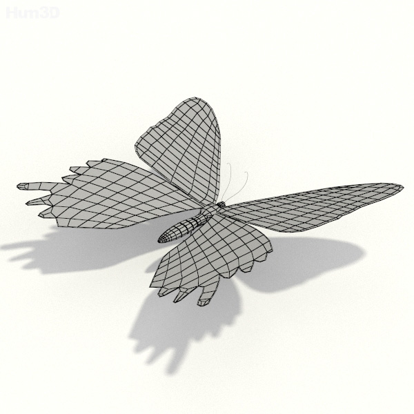 Madagascan Sunset Moth Low Poly 3D model - Download Insects on 3DModels.org
