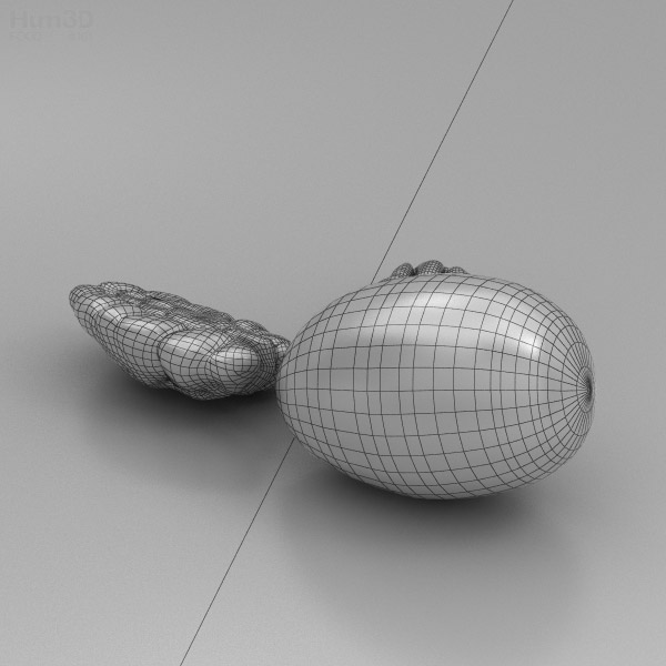 Pecan Nuts 3D model - Download Nuts on 3DModels.org