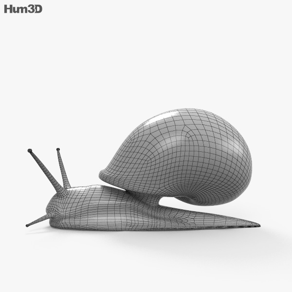 Snail 3D model - Download Gastropoda on 3DModels.org