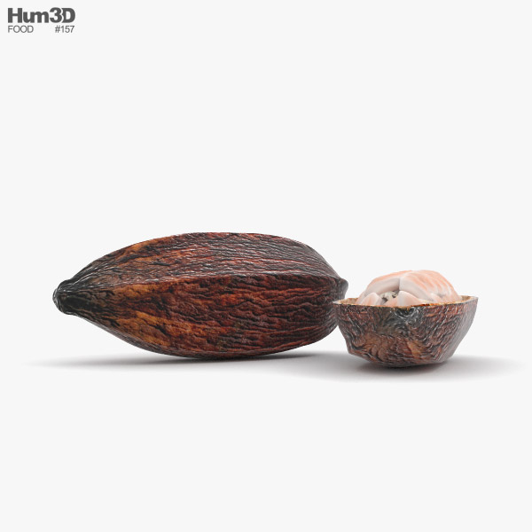 Cocoa Pod 3D model - Download Farm Crops on 3DModels.org