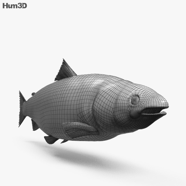 Atlantic Salmon 3D model - Download Fish on 3DModels.org