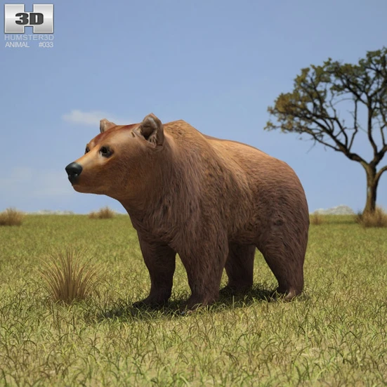Bear 3D Models Download - 3DModels.org