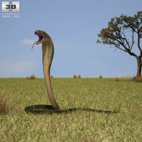 Cobra Low Poly 3D model - Download Reptile on 3DModels.org