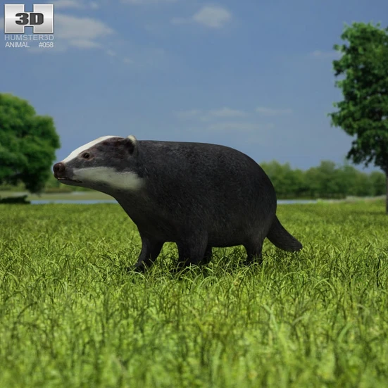Badger 3D模型 下载 - 3DModels.org