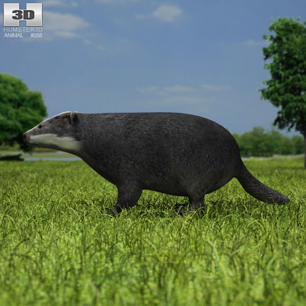 Badger Low Poly 3D 모델 - 다운로드 포유류 on 3DModels.org