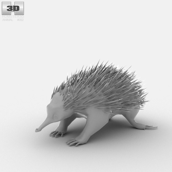 Echidna Low Poly 3D model - Download Mammals on 3DModels.org