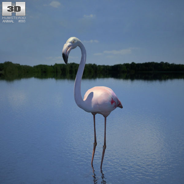 Flamingo Low Poly 3D model - Download Birds on 3DModels.org