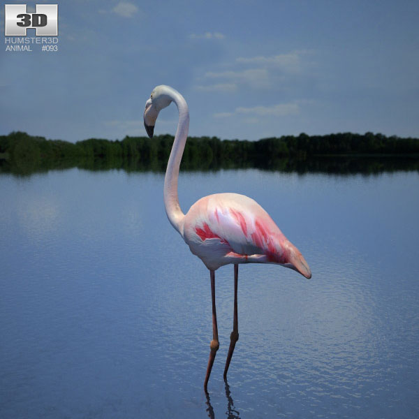 Flamingo Low Poly 3D model - Download Birds on 3DModels.org