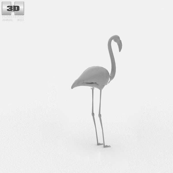 Flamingo Low Poly Modelo 3D - Descargar Aves on 3DModels.org
