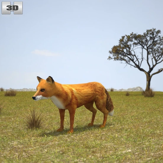 Fox 3D Models Download - 3DModels.org