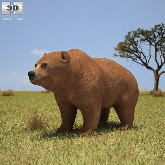Bear 3D Models Download - 3DModels.org