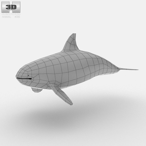 Killer whale Low Poly 3D model - Download Mammals on 3DModels.org