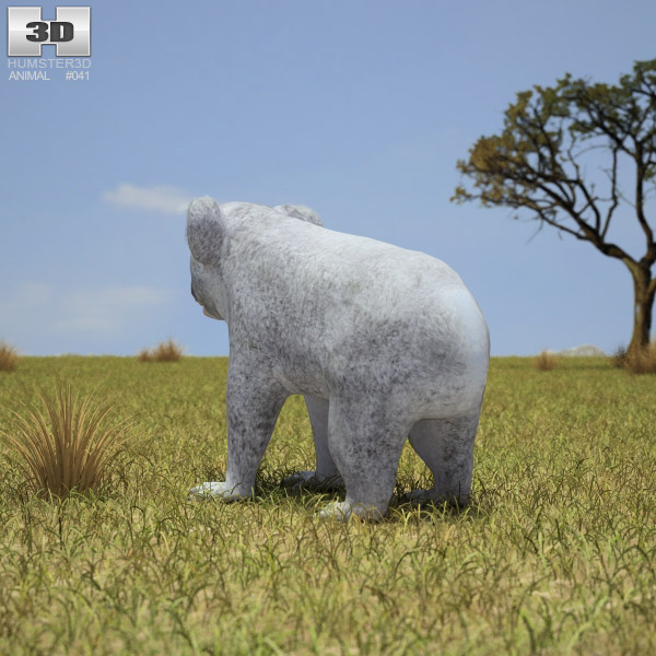 Koala Low Poly Modelo 3D - Descargar Mammalia on 3DModels.org