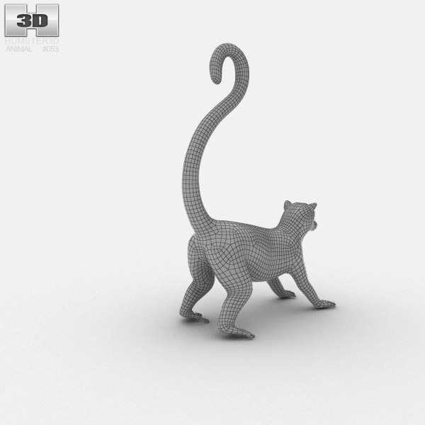 Lemur Low Poly 3D model - Download Mammals on 3DModels.org