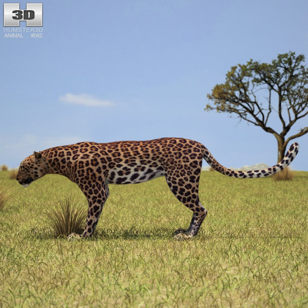 Leopard Low Poly 3D model - Download Mammals on 3DModels.org