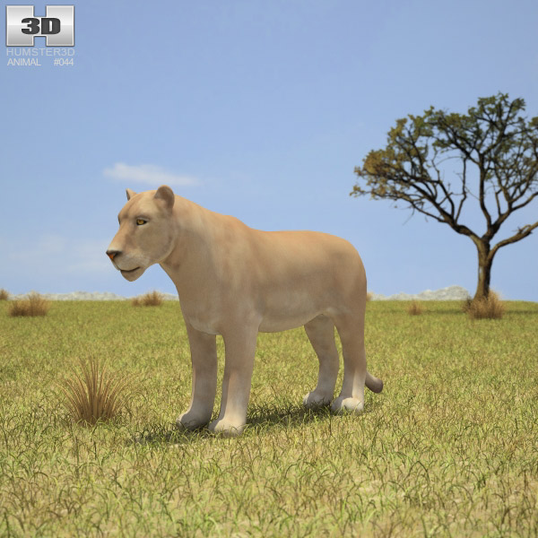 Lioness Low Poly 3D model - Download Mammals on 3DModels.org