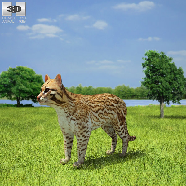Ocelot Low Poly 3D model - Download Mammals on 3DModels.org