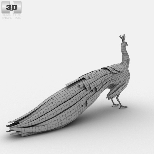 Peacock Low Poly 3D model - Download Birds on 3DModels.org