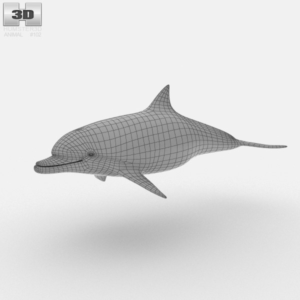 Common Bottlenose Dolphin Low Poly 3D model - Download Marine Mammal on ...