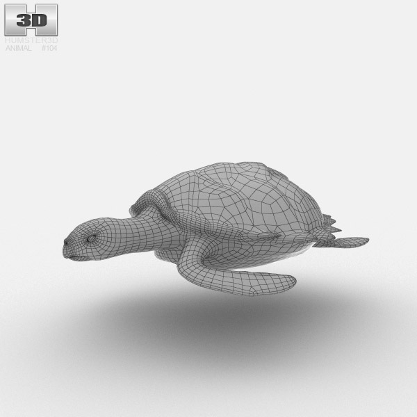 Hawksbill sea turtle Low Poly 3D model - Download Reptile on 3DModels.org