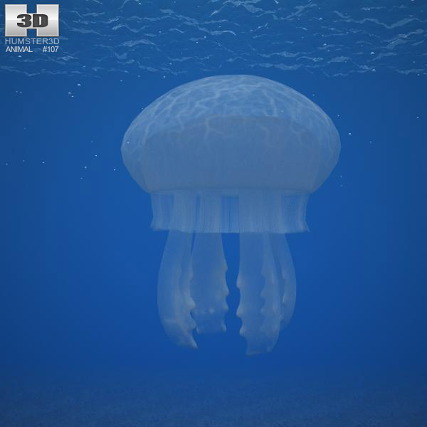 Jellyfish Low Poly 3D model - Download Invertebrates on 3DModels.org