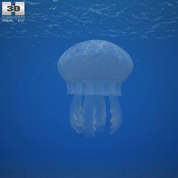 Jellyfish Low Poly 3D model - Download Invertebrates on 3DModels.org