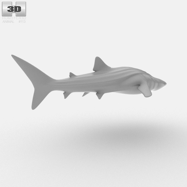 Pating Balyena Low Poly 3D model - Download Fish on 3DModels.org