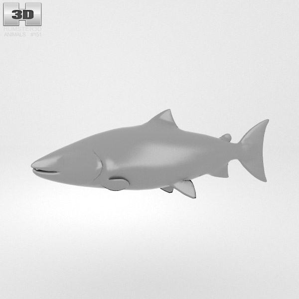 Atlantic salmon Low Poly 3D model - Download Fish on 3DModels.org