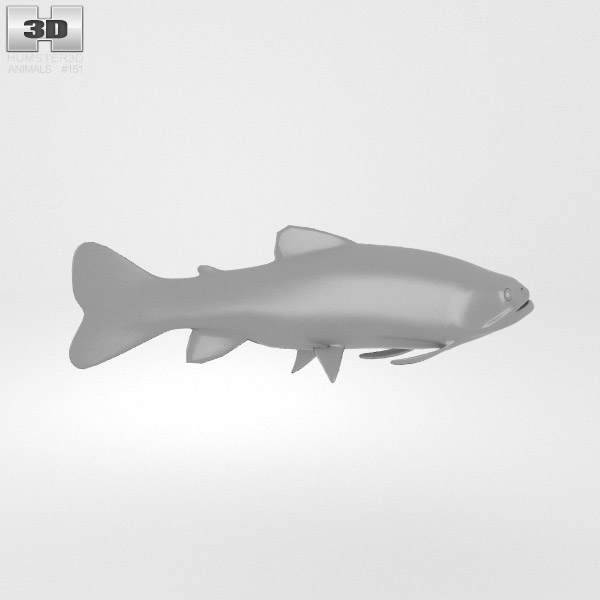 Atlantic salmon Low Poly 3D model - Download Fish on 3DModels.org