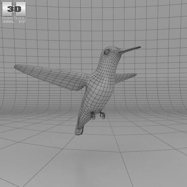 bee Hummingbird Low Poly 3D model - Download Birds on 3DModels.org