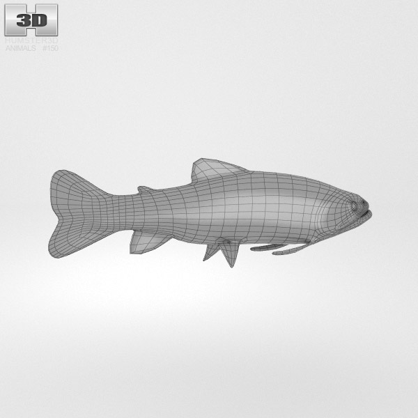 Brook Trout Low Poly 3D model - Download Fish on 3DModels.org
