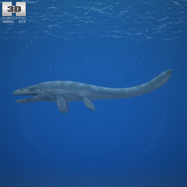 Mosasaurus Low Poly Modelo 3D - Descargar Dinosaurio activado 3DModels.org