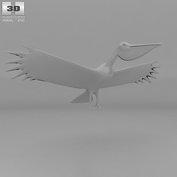 Pelican Low Poly 3D model - Download Birds on 3DModels.org