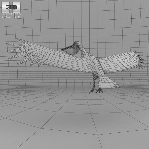 Pelican Low Poly 3D model - Download Birds on 3DModels.org