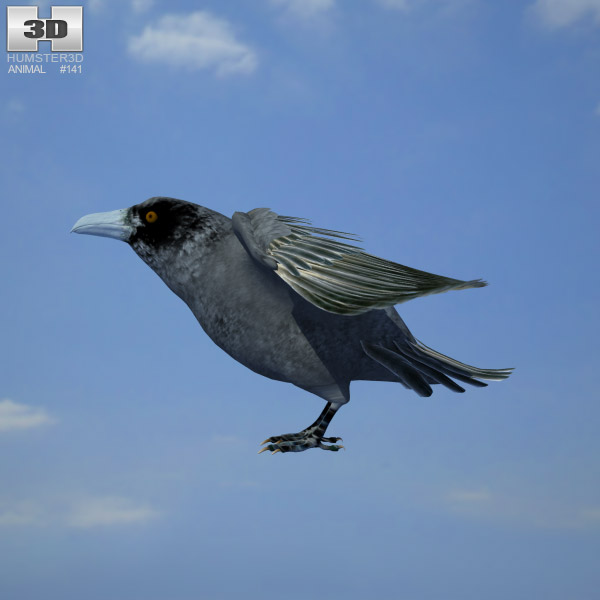 Raven Low Poly 3D model - Download Birds on 3DModels.org