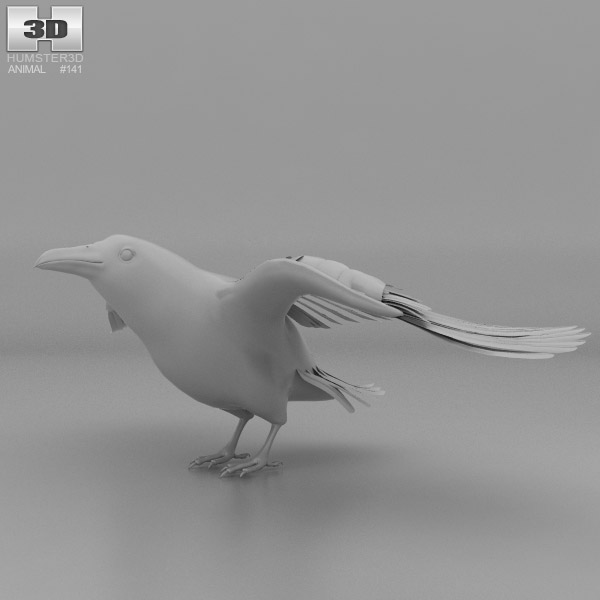 Raven Low Poly 3D model - Download Birds on 3DModels.org